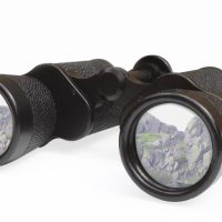 IOC BIRD LIST V15.1 RELEASED | All the World's Birds